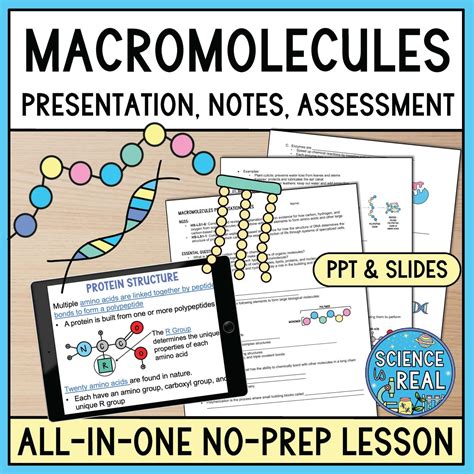 Engaging Macromolecules Lessons For High School Biology Science Is Real Education