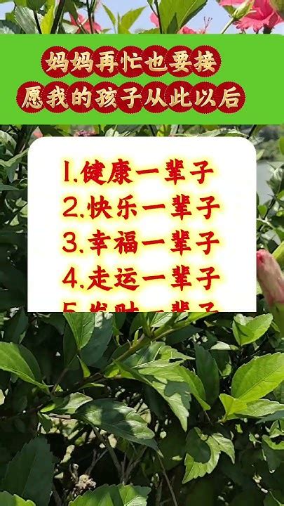 家庭矛盾 教育孩子 亲子沟通 家长必看 Youtube