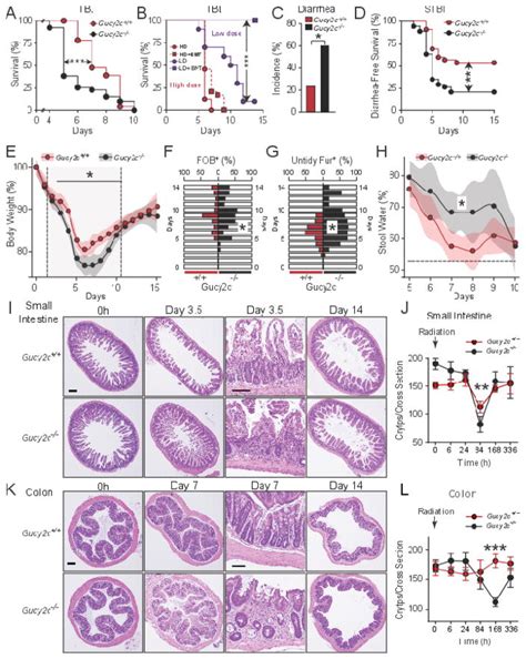 Gucy2c Signaling Opposes The Acute Radiation Induced Gi Syndrome Pmc