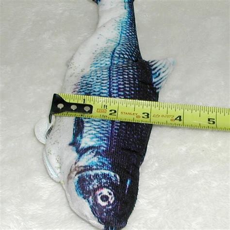 Flopping Fish Animation