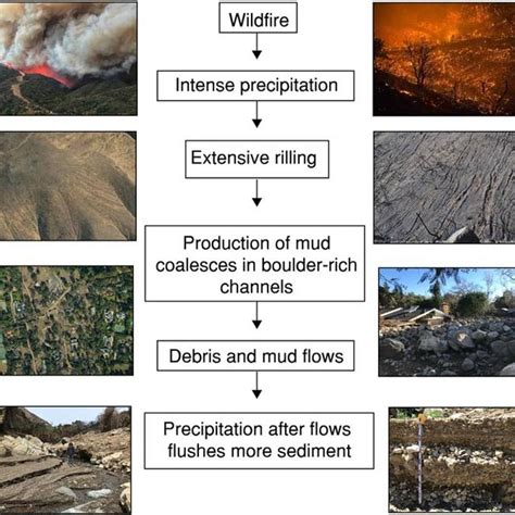 Diagram With Photographs Of The Wildfire Debris Flow Cycle See Text Download Scientific