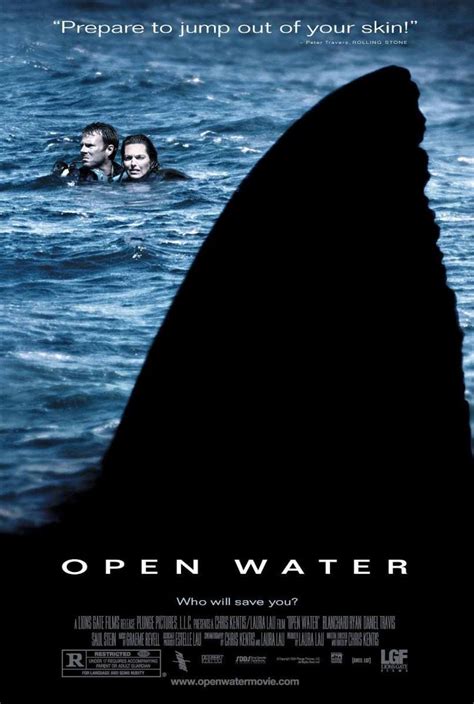 20 Years Of Shark Movie Evolution A Deep Dive Into Open Water — The