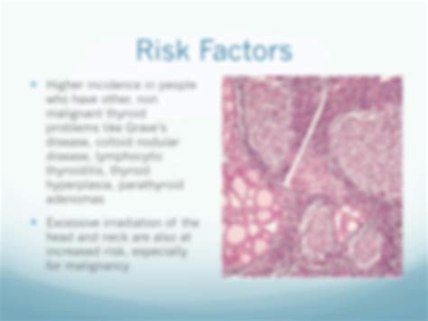 Solution Hurthle Cell Adenoma Feu Medicine Studypool