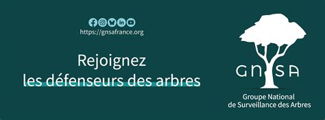 Florent Benoit Visuals Added A Florent Benoit Visuals