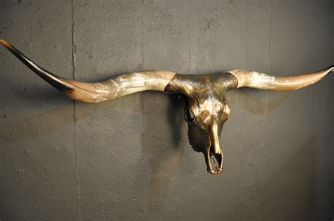 Maverick 5 6 Longhorn Skull Longhorn Custom Skulls