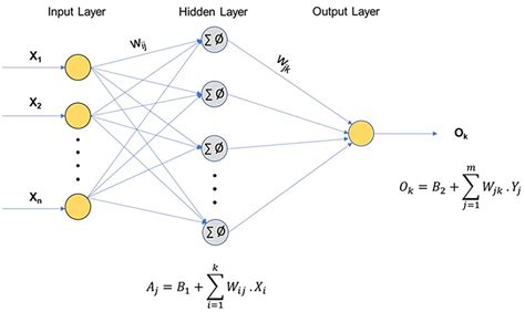 The Architecture Of An Mlp Ann Download Scientific Diagram