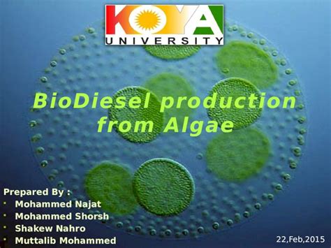 Pptx Biodiesel Production From Algae Dokumen Tips
