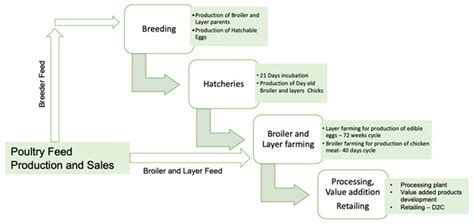 Explicating Demand And Supply In Indian Poultry Sector A Macroeconomic