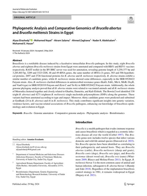 Pdf Phylogenetic Analysis And Comparative Genomics Of Brucella Abortus And Brucella Melitensis