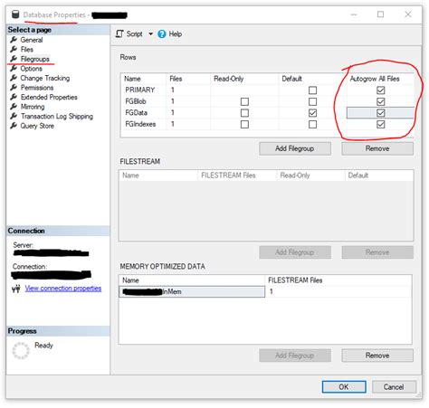 Trace Flag 1117 And Sql Server 2019