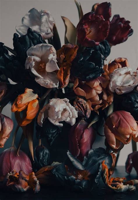Dying Flowers Dark Flowers Tulips Flowers Moody Photography Floral