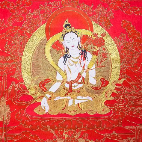 R1npoche Princess Mandarava Each Of You Should Examine Your Own