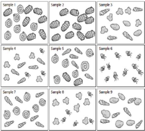 Unit 3 Biology Flashcards Quizlet
