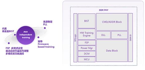 支持lpddr5x内存的国产高速接口ip赋能高性能计算soc和ai芯片设计 Pingcode