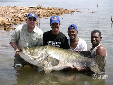 Nile Perch Record