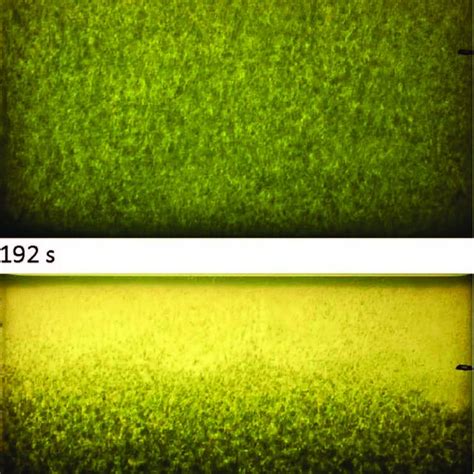 Murray Gingras Professor Full University Of Alberta Edmonton