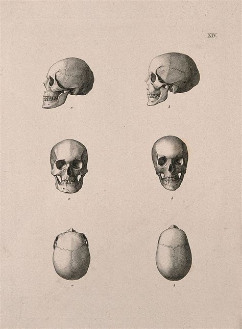 Human Skulls Six Figures Etching Free Photo Illustration Rawpixel