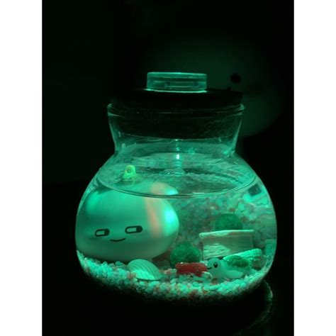 Quby Waterworld Diy Marimo Set T For Friends Couple 乖巧宝宝下海记 Shopee