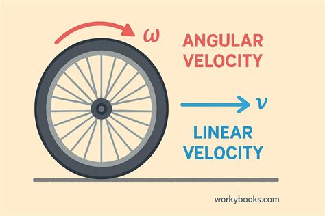 Angular Velocity Explained Definition Facts Example Quiz