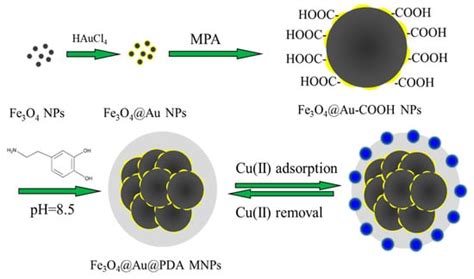 Polymers Special Issue Core Shell Structured Polymers