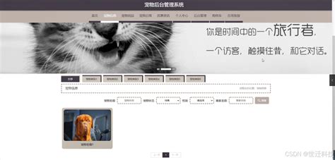 Java计算机毕业设计宠物后台管理系统(开题程序论文) Csdn博客 Java计算机毕业设计宠物后台管理系统(开题程序论文) Csdn博客