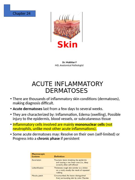 Skin Pathology Part 2 Pdf Dermatitis Epidermis