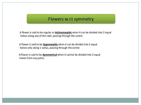 Types Of Roots And Plant Classification Ppt Types Of Roots And Plant Classification Ppt