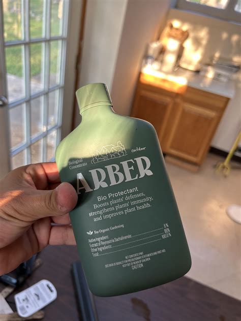 Update Pumpkin Problems R Gardening