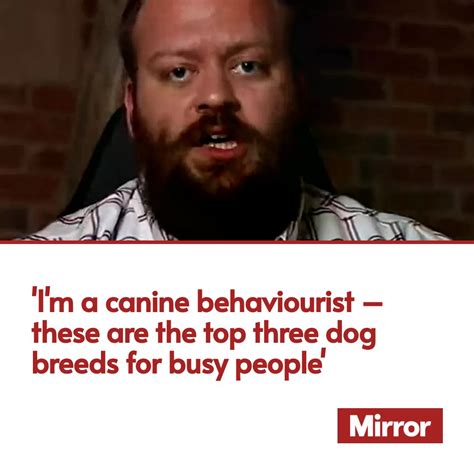 Mirror A Canine Behaviourist Has Revealed The Top Three Dog Breeds He