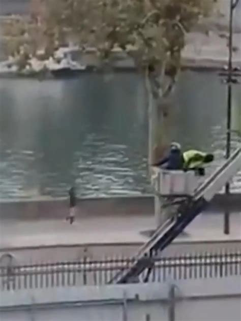 Sohn Von Bvb Legende Knut Reinhardt Nick 19 Und Seine Bande Wegen