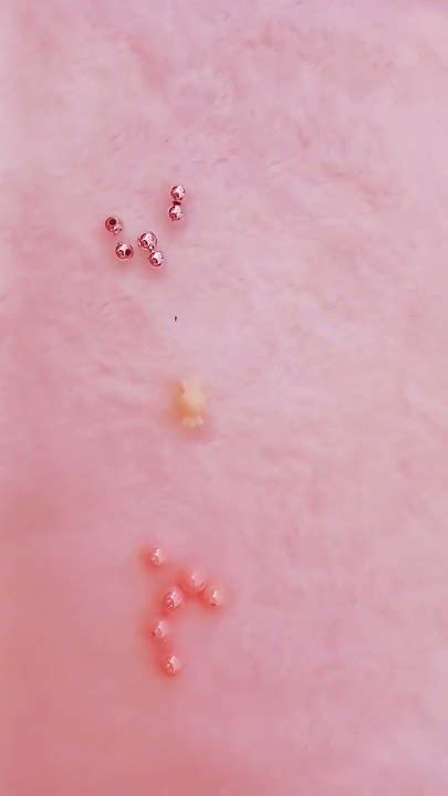 Make Sum Beeded Bracelets With Me Blowup Popular Preppy Viral