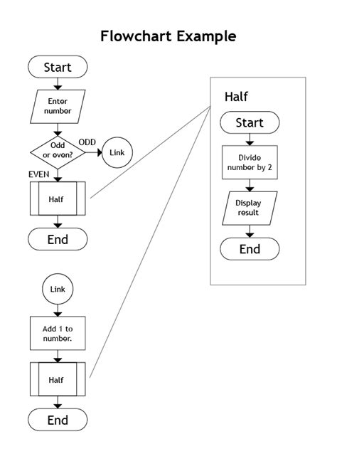 Coding — Oystercatchers