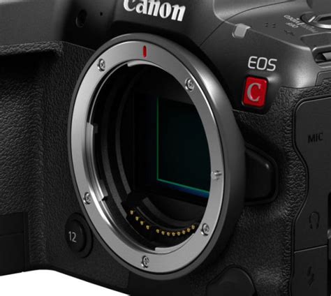 Rf Mount Autofokus Objektive Nur Noch Von Canon