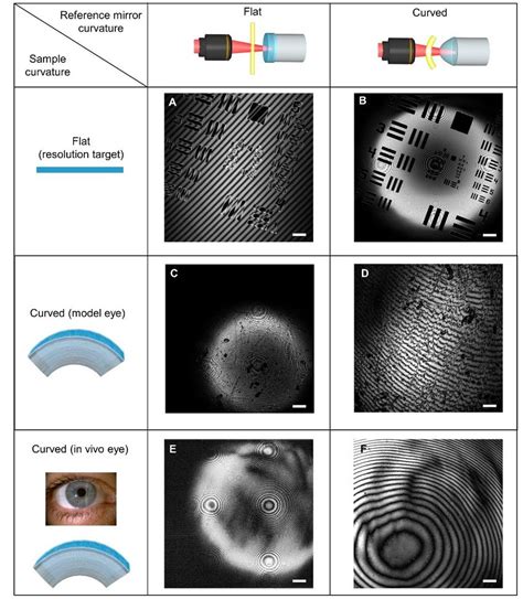 Fig S1 Correlation Between Interference Fringe Density And Degree Of