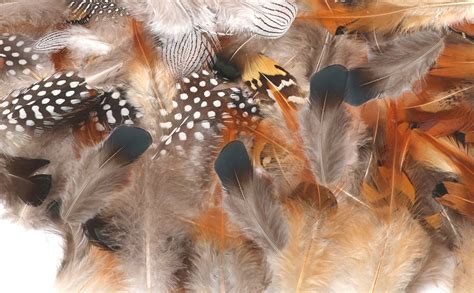 Mwoot 9 Styles Assorted Crafts Feathers 180pcs Diy Dreamcatcher Crafts