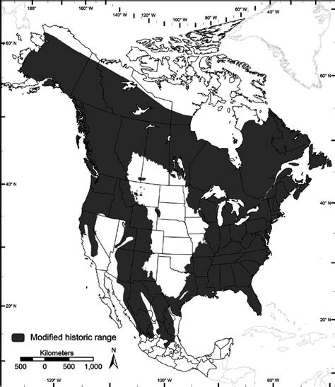 Black North America Logo