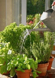8 Idées De Potager Potager Astuce Jardin Jardinage Potager