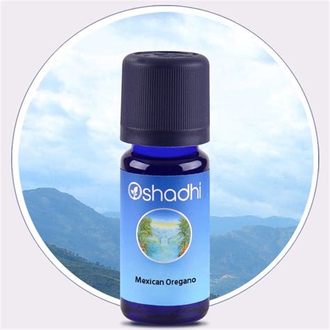 Mexican Oregano Essential Oil Oshadhi Essential Oils