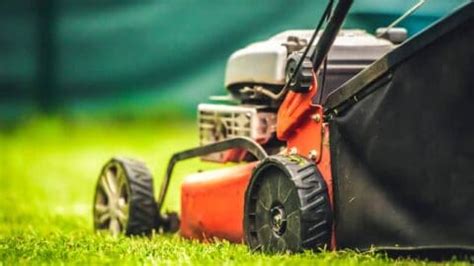 Buying A Lawn Mower In Australia Everything You Need To Know