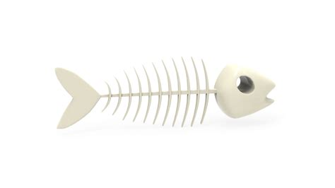 High Quality Fishbone 3d Model By Mayaz