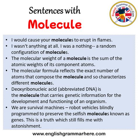 Molecule In A Sentence In English Archives English Grammar Here