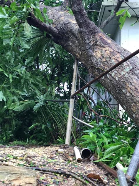 Ney Marie Arocho Hernández