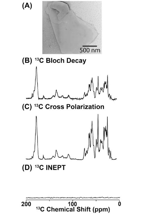 Characterization Of Vdac2 Samples With Electron Microscopy And Solid