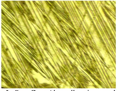 Figure 5 On The Structure Of Shape Memory Alloys