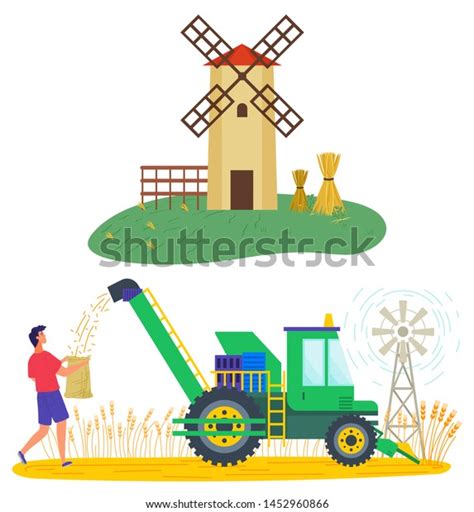Wheat Harvesting Vector Man Working On Stock Vector Royalty Free
