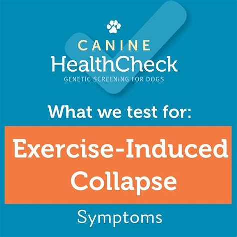 Exercise Induced Collapse Health Check Genetics Genetic Health