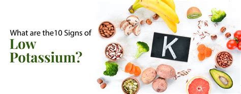 Low Potassium Foods