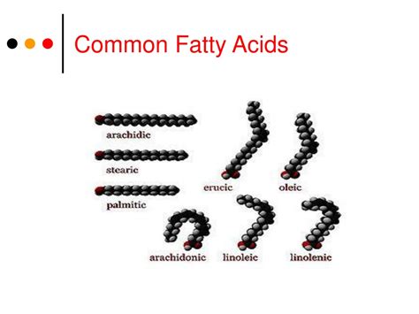 PPT Fatty Acids Glycerides And Steroids In Biochemistry PowerPoint Presentation ID