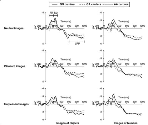 Grand Averaged Event Related Potential Erp In Centro Parietal Sites