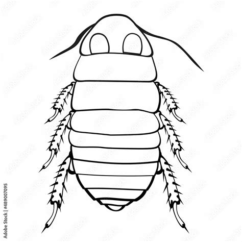 Black And White Drawing Of A Bold Cockroach For Coloring Insect For
